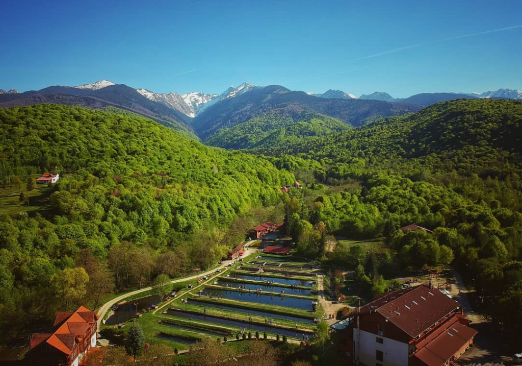 Complexul Albota - Liniste si Relax la Poalele Carpatilor