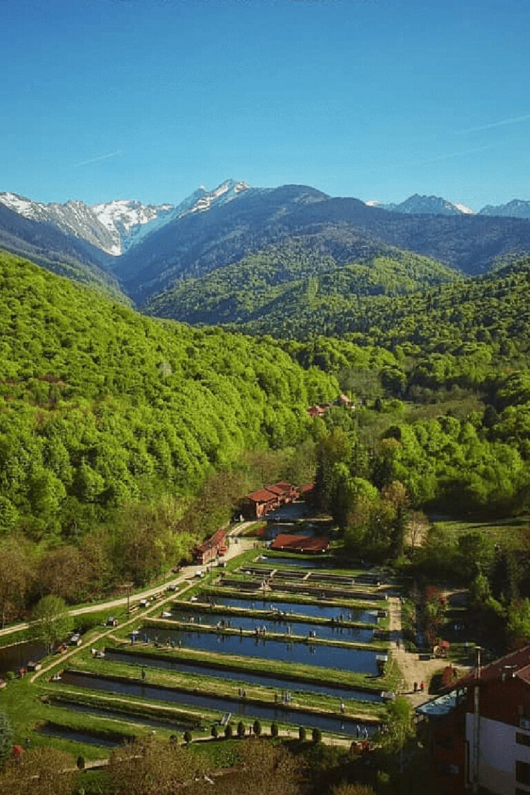 Cazare - Ofertele Complexului Albota