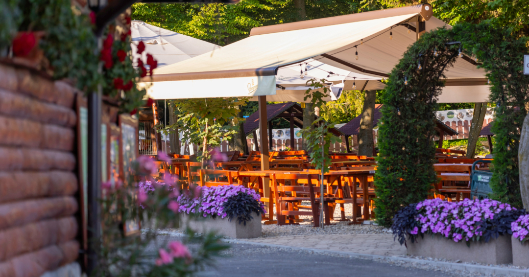 Camping si gastronomie la Complexul Albota | De la ferma la farfurie ...